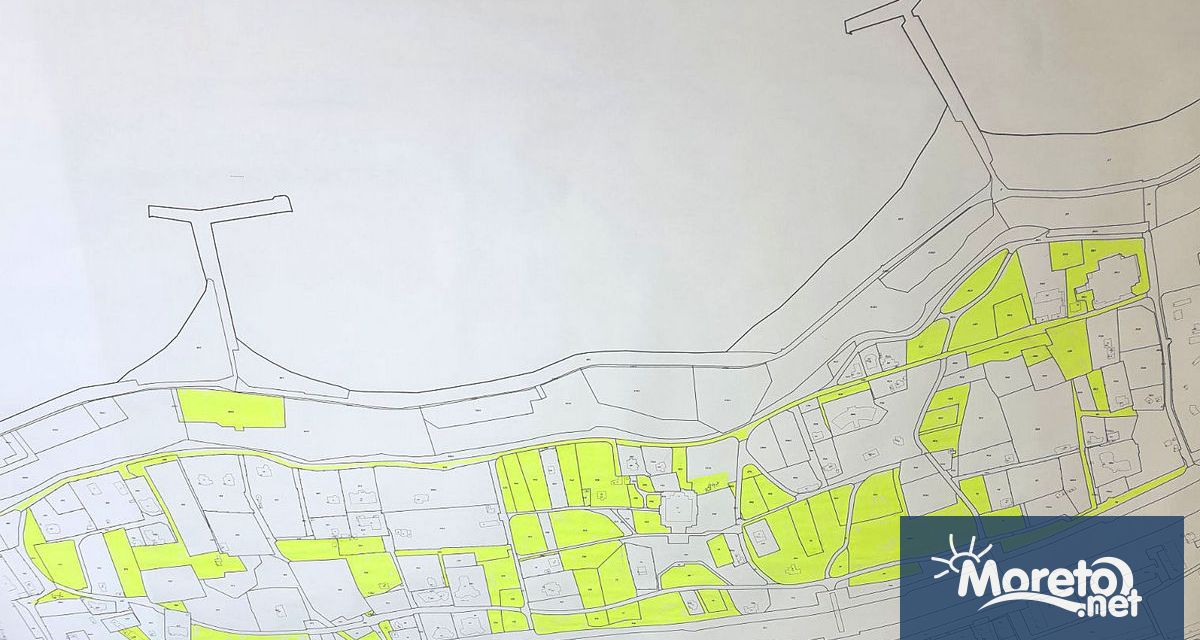 Разчистват от храсти над 100 декара в Морската градина във Варна | Moreto.net - Варна