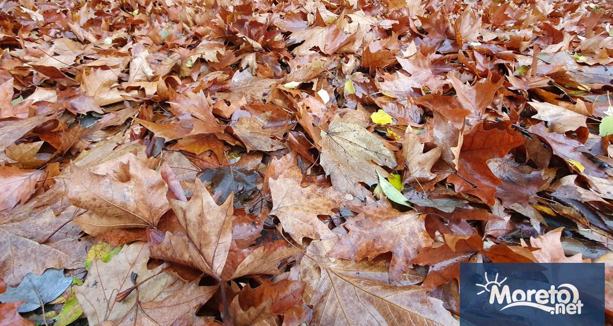 Какво ще е времето утре по Черноморието? | Moreto.net - Варна