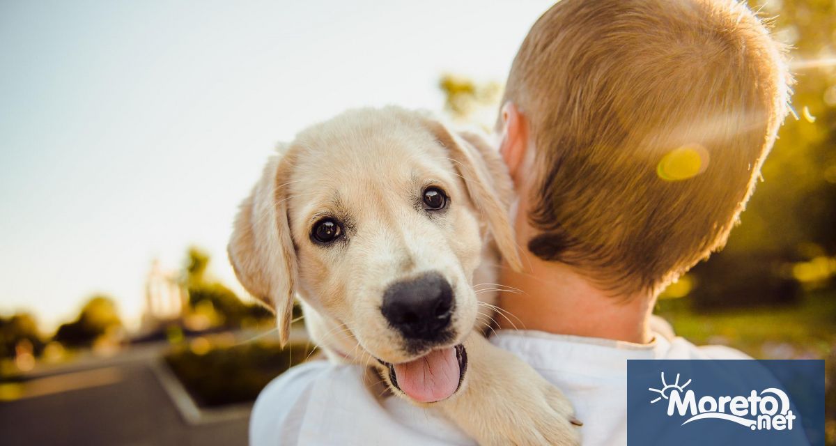 Напомнят на районните кметства във Варна да следят за спазване на