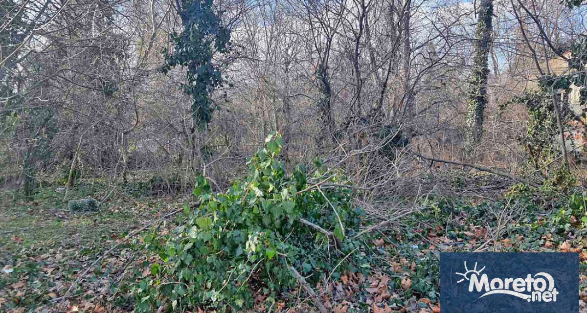 Отхвърлиха отпускането на пари за контейнери за зелена маса във Варна Варна