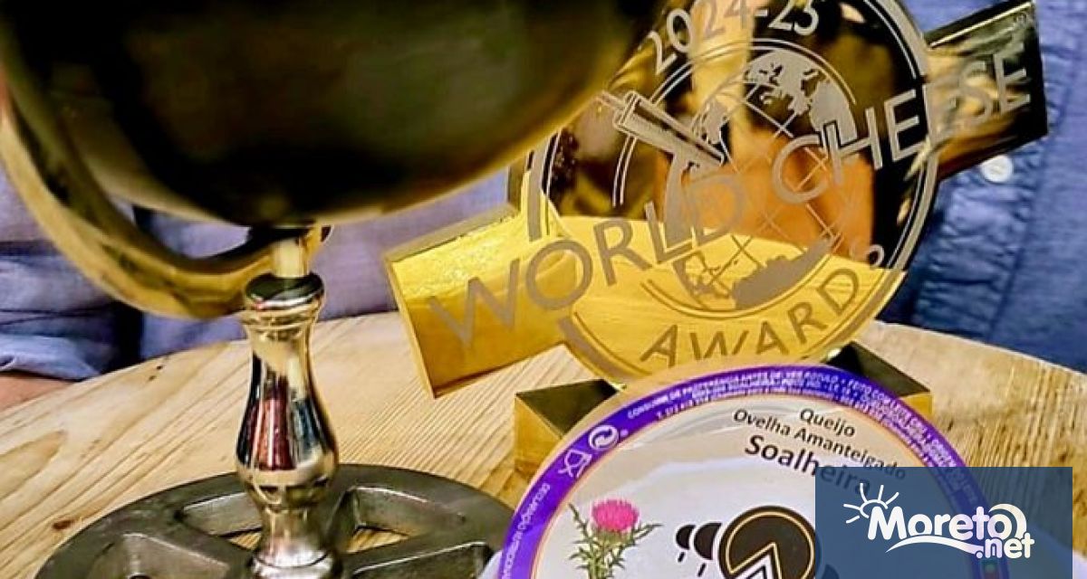 Това е най-доброто сирене в света за 2024 година, избрано между над 4700 от 47 страни | Moreto ...