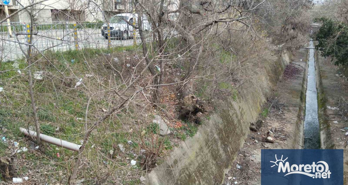 В очакване на разчистване: Боклуци, растителност и клони се трупат във варненски дерета | Moreto ...