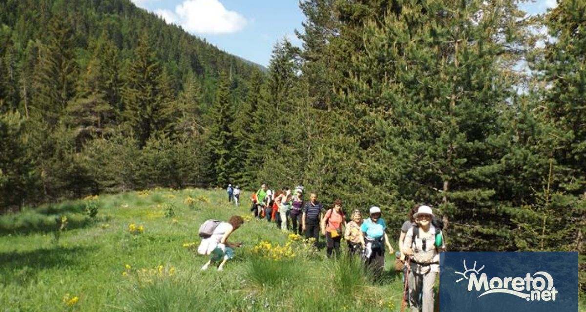 Канят варненци на поход “100 км за 24 часа” | Moreto.net - Варна